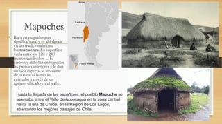 Viviendas pueblos originarios | PDF
