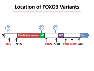 FOXO3 Regulates Fetal Hemoglobin Levels in Sickle Cell Anemia | PDF