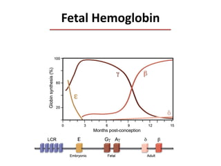 FOXO3 Regulates Fetal Hemoglobin Levels in Sickle Cell Anemia | PDF