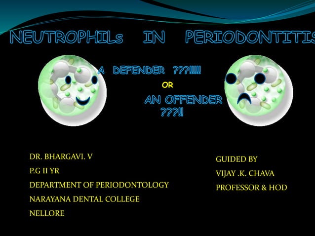 role of neutrophils in periodontitis defenders?or offenders? | PPTX