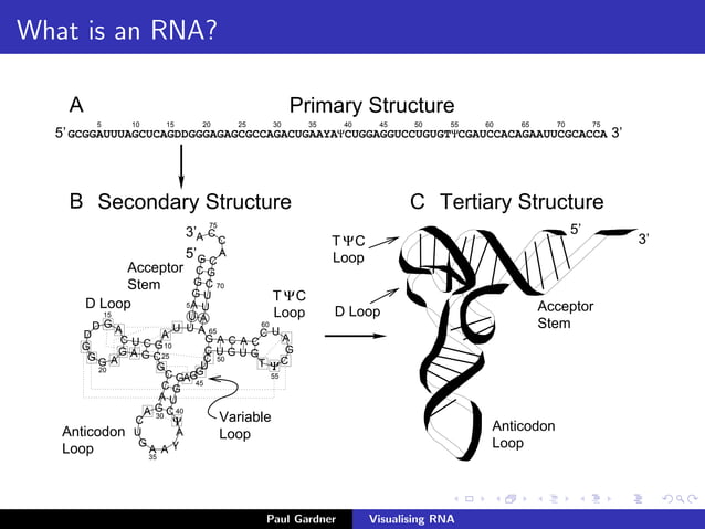 Vizbi2013: Visualising RNA | PPT