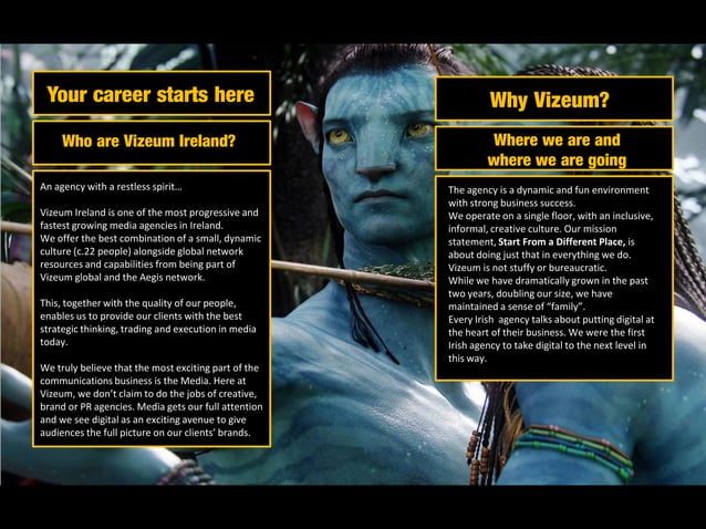 Vizeum graduate programme-2010 | PPT