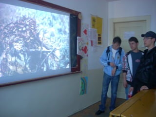 Vizionare patimile lui hristos | PPT