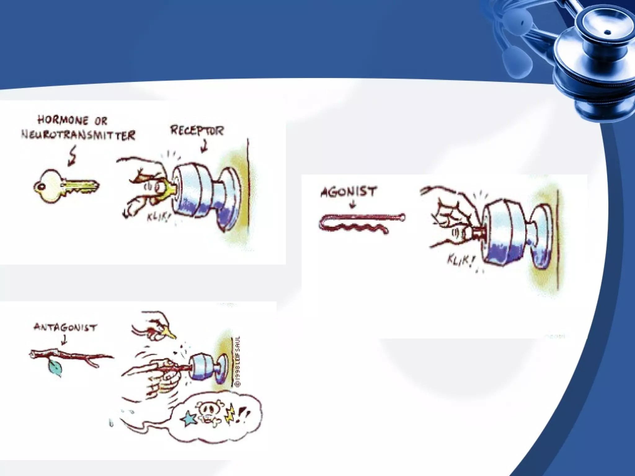 Mechanism of drug action | PPT