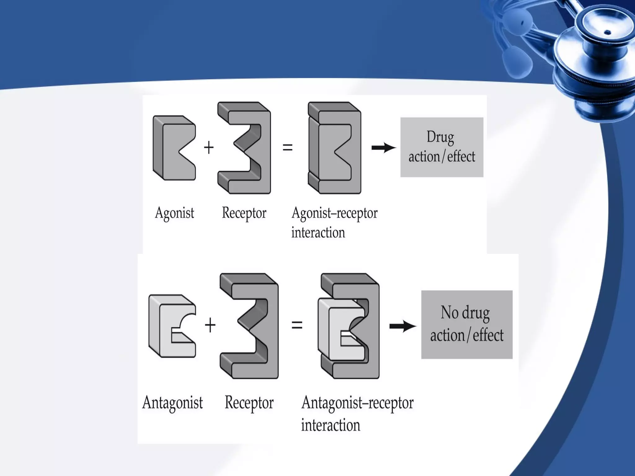 Mechanism of drug action | PPT