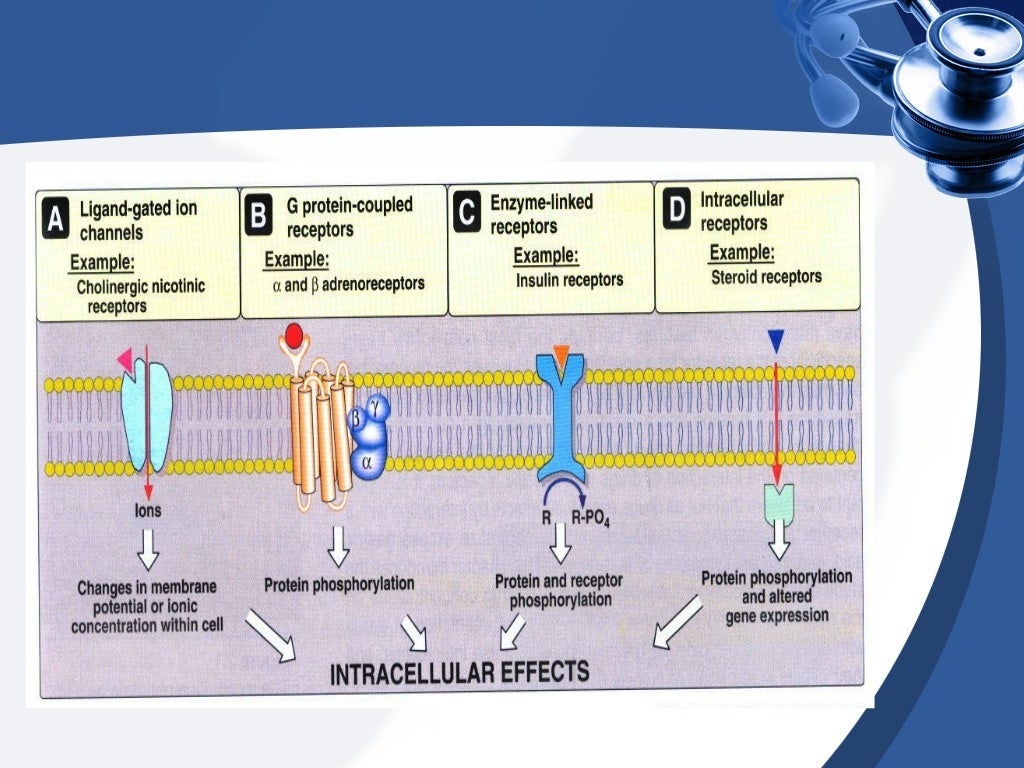 Mechanism of drug action