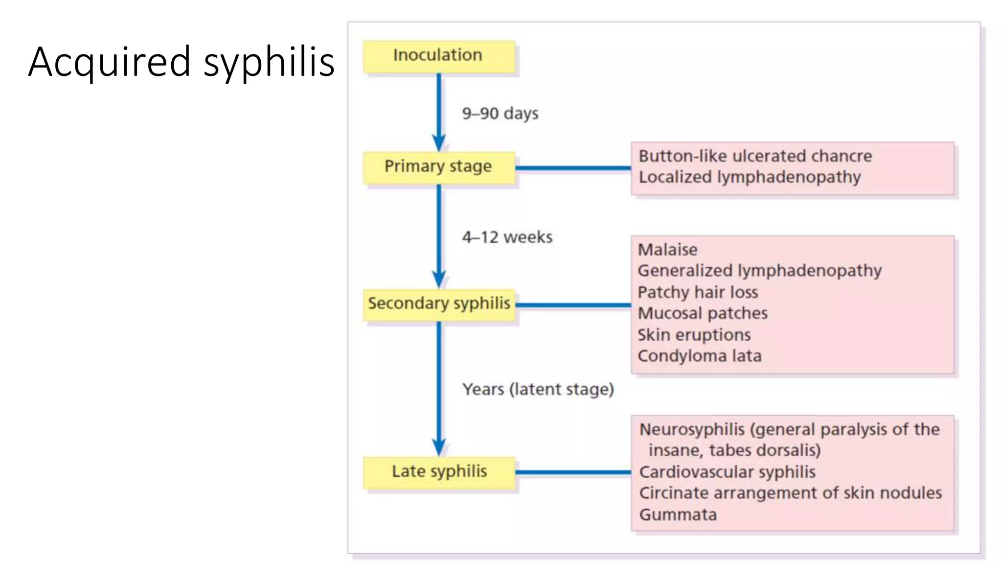 10th lecture syphilis | PPTX | Sexual Conditions | Sexual Health