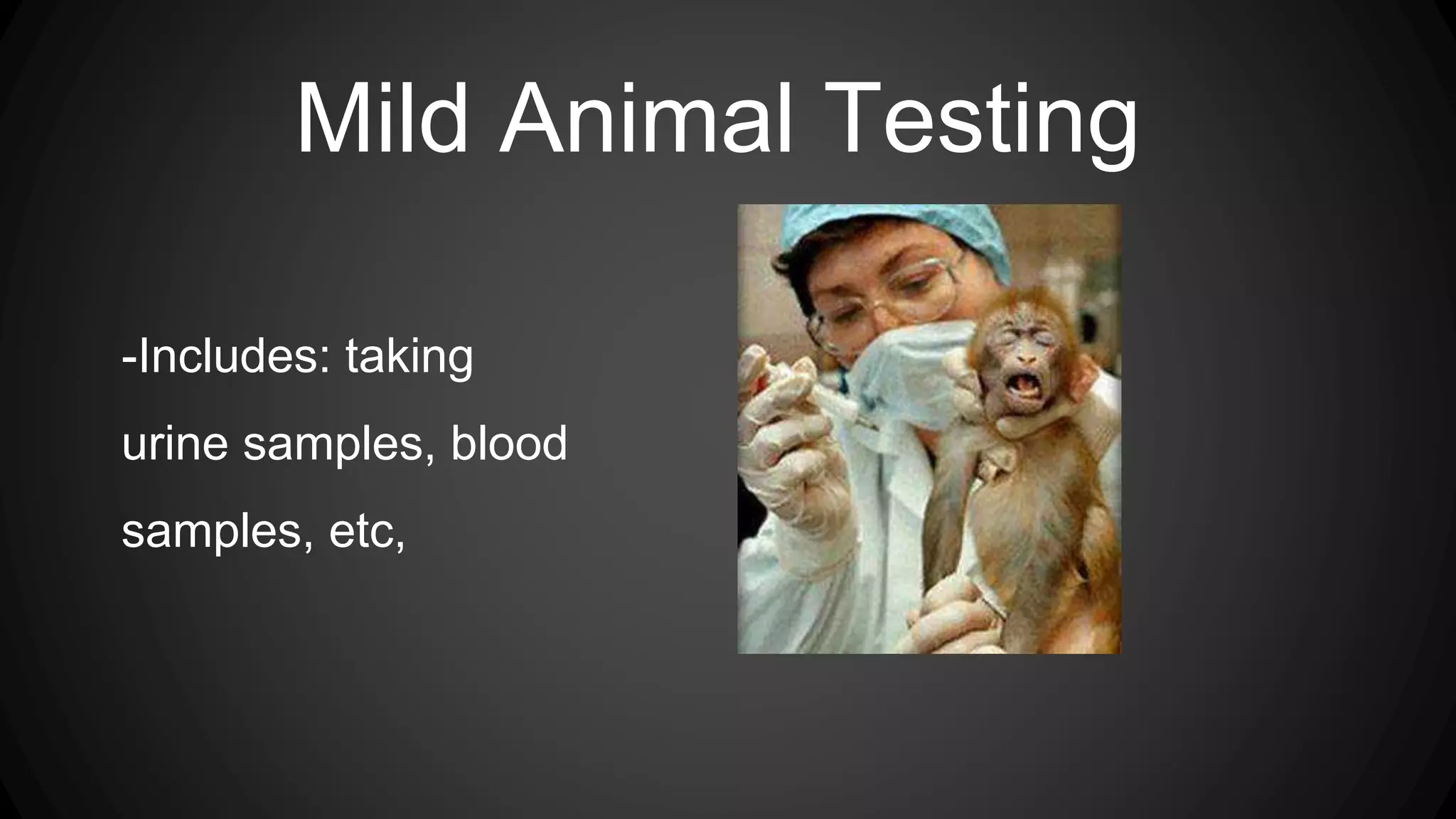 6 fajardo: animal testing | PPTX
