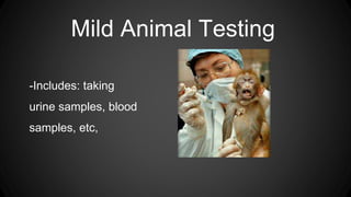 6 fajardo: animal testing | PPTX
