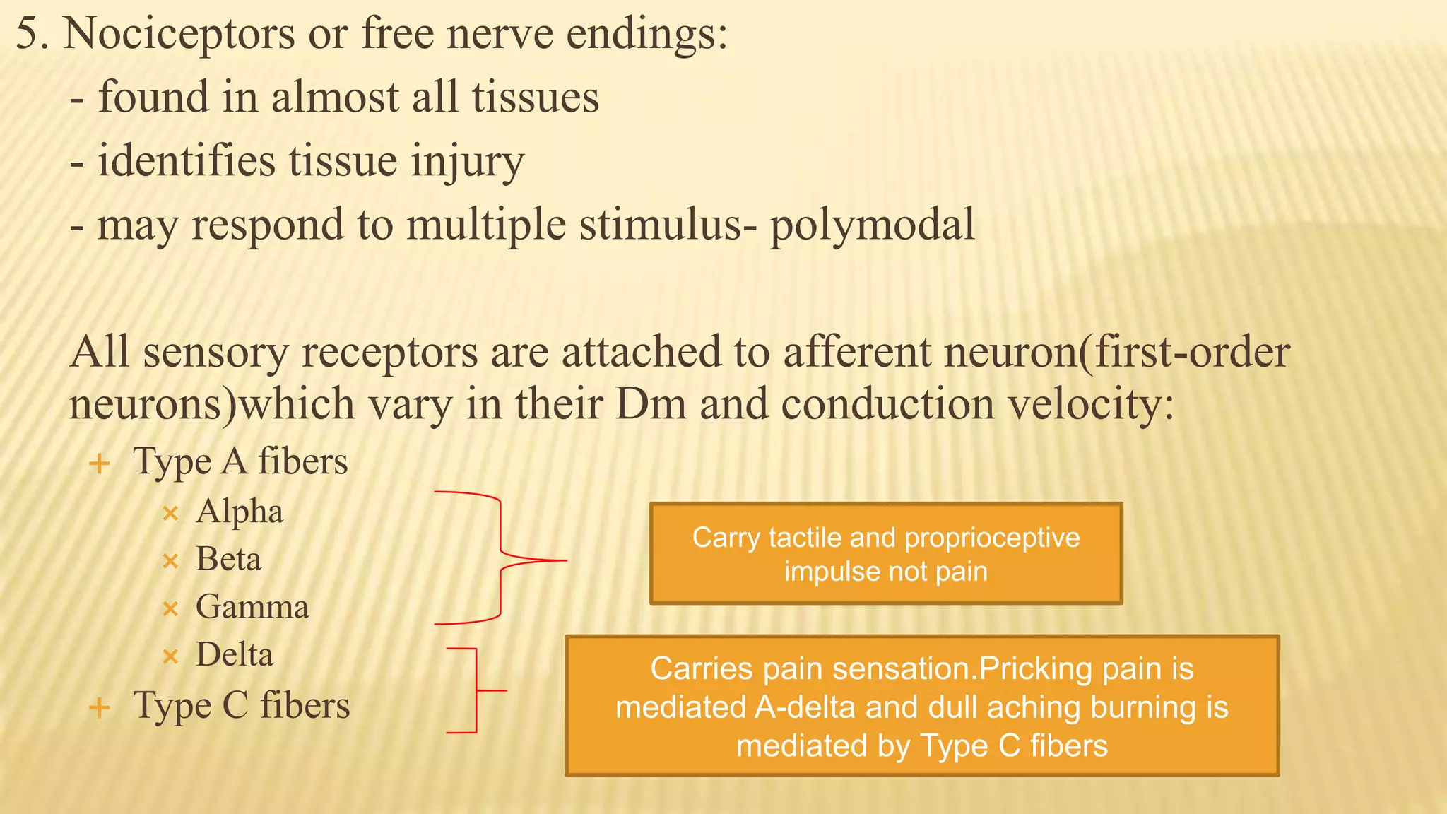 oro-facial pain (other than neuralgias) | PPTX