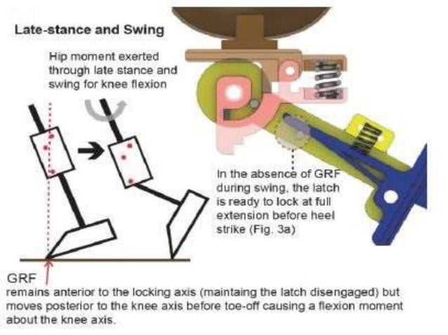 Designof a fully passive prosthetic knee | PPTX