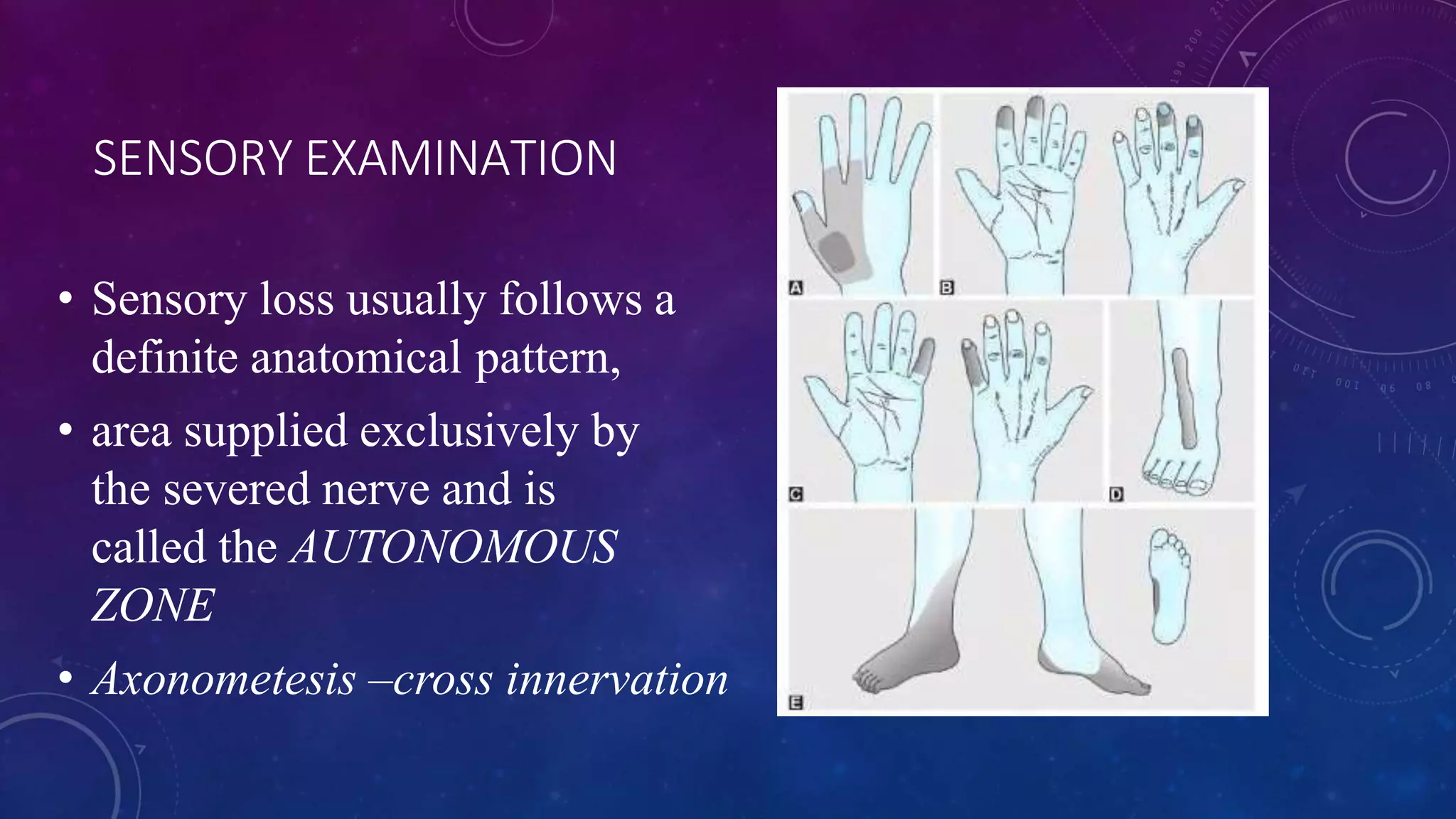 Damage Of Peripheral Nerve | PPTX