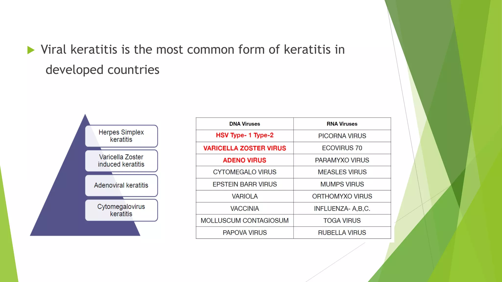 Viral Keratitis.pdf