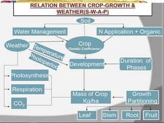 CROP WEATHER MODELING | PPTX
