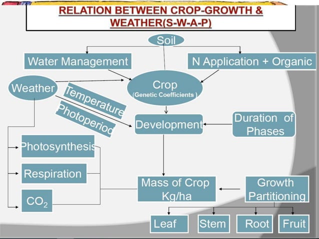 CROP WEATHER MODELING | PPTX | Agriculture | Industries