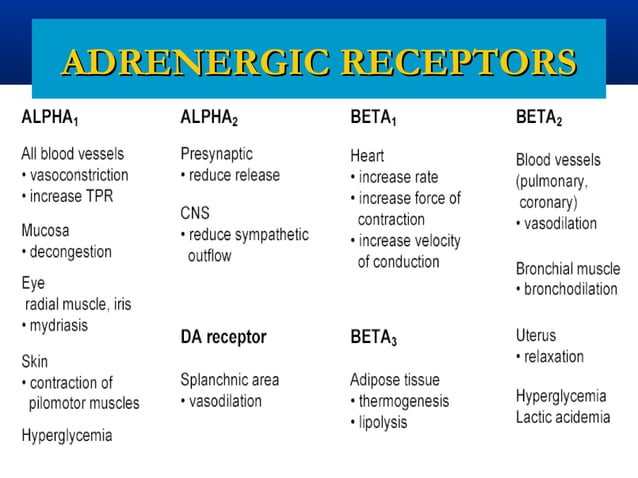 Adrenergic drugs (VK) | PPT