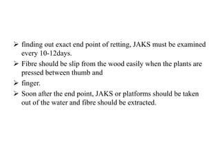 RETTING PROCESS IN JUTE | PPTX