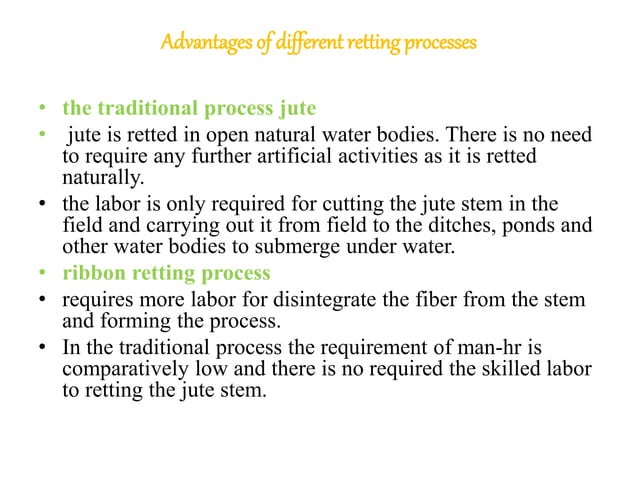 RETTING PROCESS IN JUTE | PPTX
