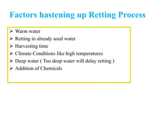RETTING PROCESS IN JUTE | PPTX