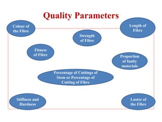 RETTING PROCESS IN JUTE | PPTX