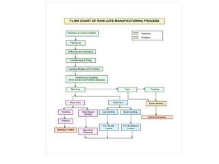 RETTING PROCESS IN JUTE | PPTX