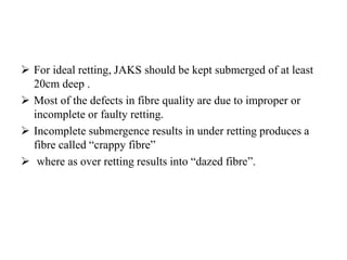 RETTING PROCESS IN JUTE | PPTX