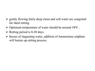 RETTING PROCESS IN JUTE | PPTX