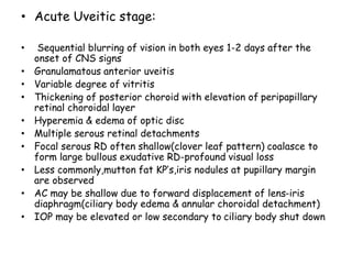 Uveitis in Behcet disease and VKH | PPTX