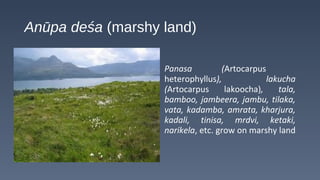 Vrikshayurveda | PPT