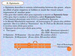 VL2.pdf