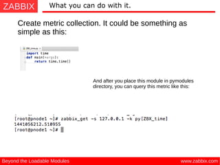 Vladimir Ulogov - Beyond the Loadable Module | PPT