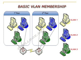 Vlan | PPT