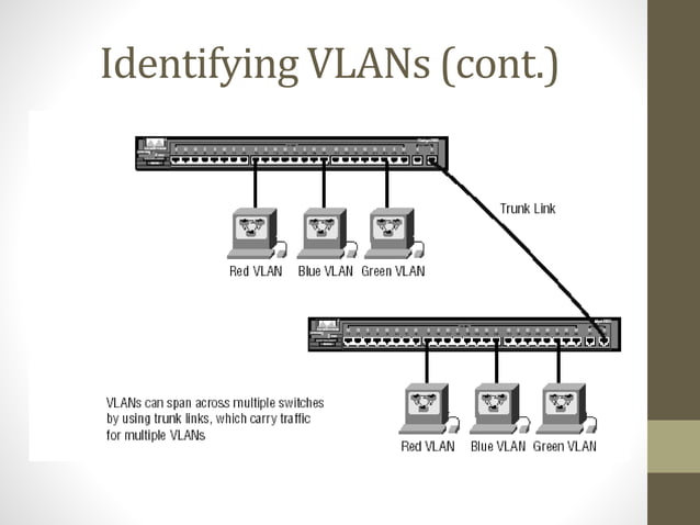 VLAN | PPT