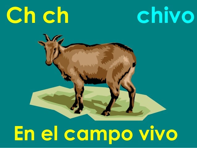 Abecedario de animales