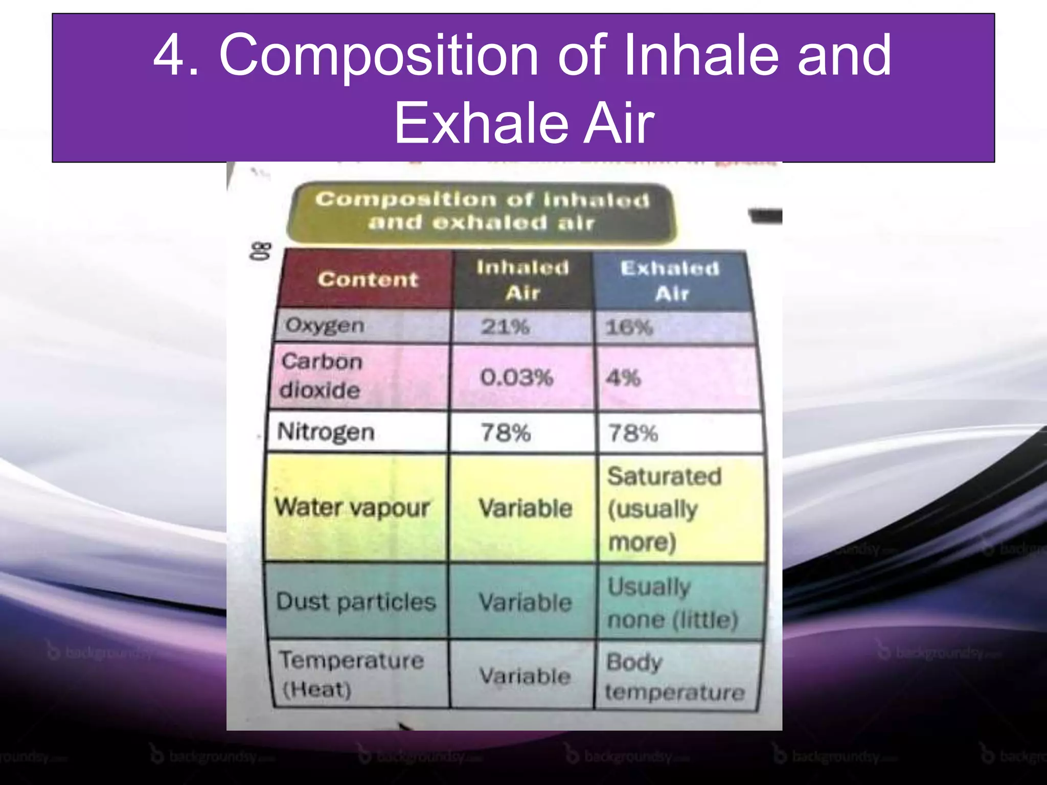 Human breathing mechanism | PPTX