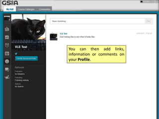 VLE GSA - How to use the Profile Tool | PPTX | Social Networking | Internet
