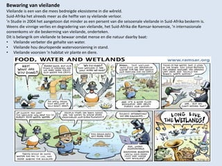 Vleiedag | PPTX