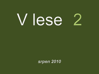 V lese 2 - srpen 2010 (in the forest) | PPT | Free Download