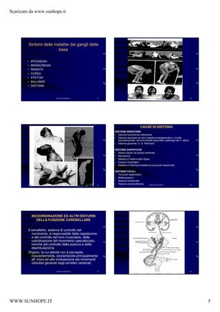 V lezione motilità | PDF