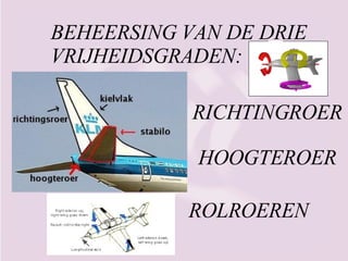 Vliegen | PPT