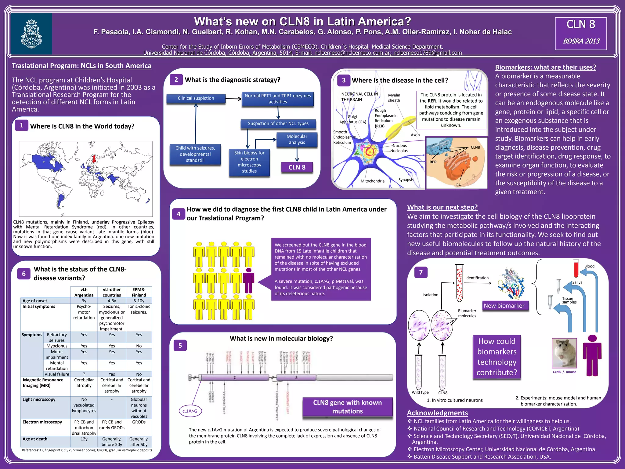 CLN8 Pesaola 2013 | PPTX