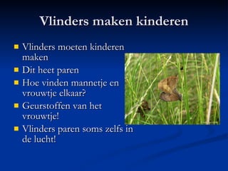 Vlinders | PPT