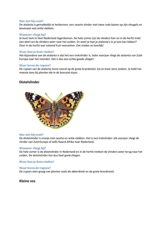 Vlinders | PDF