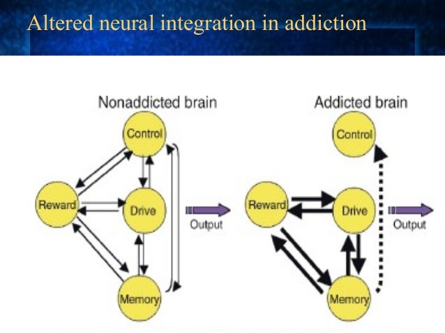 Neurobiology of addiction