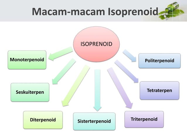 farmakognosi isoprenoid | PPT