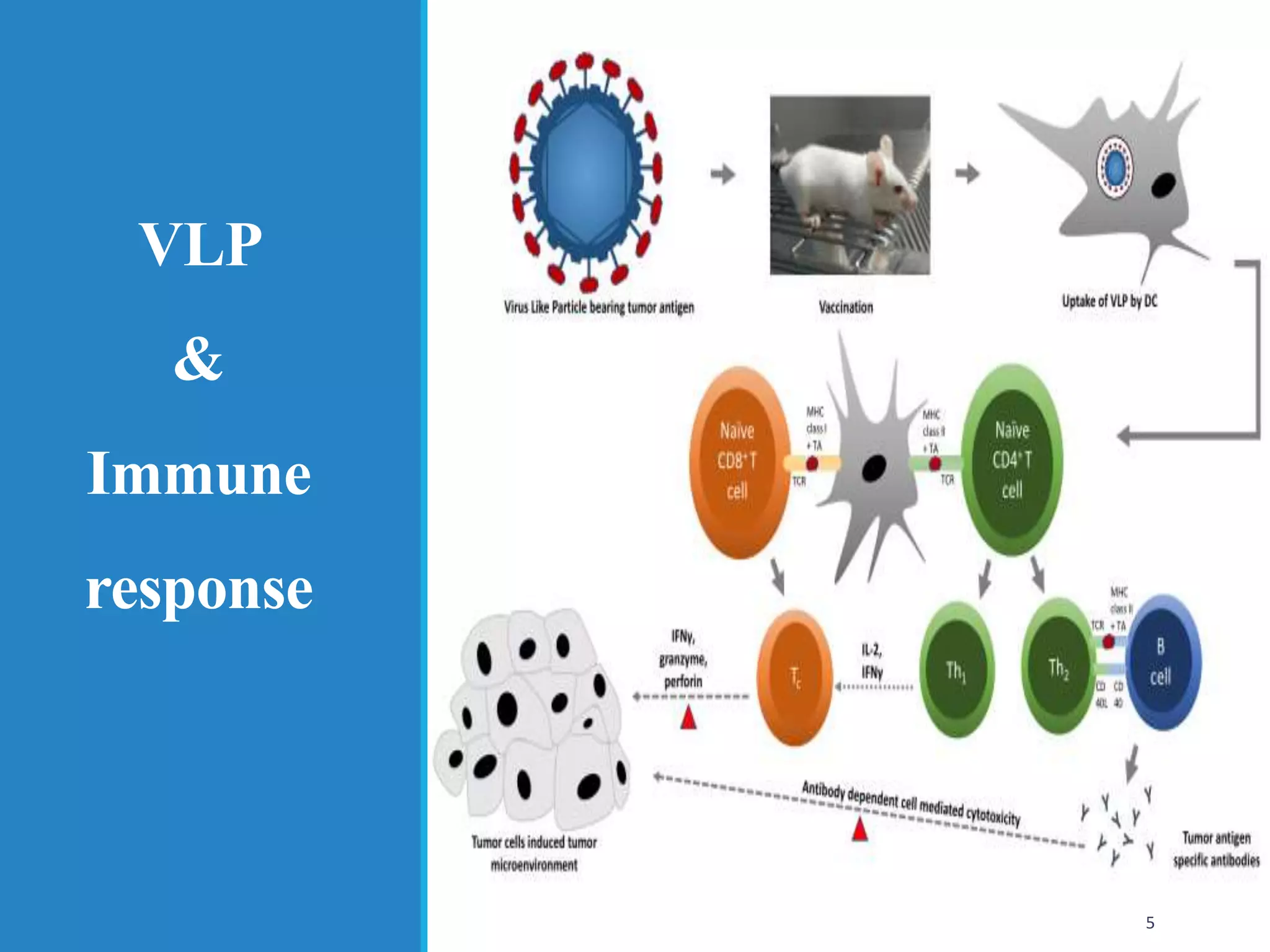 Virus Like Particle as Vaccines | PPTX