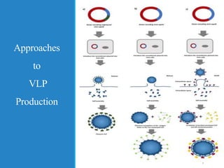 Virus Like Particle as Vaccines | PPTX