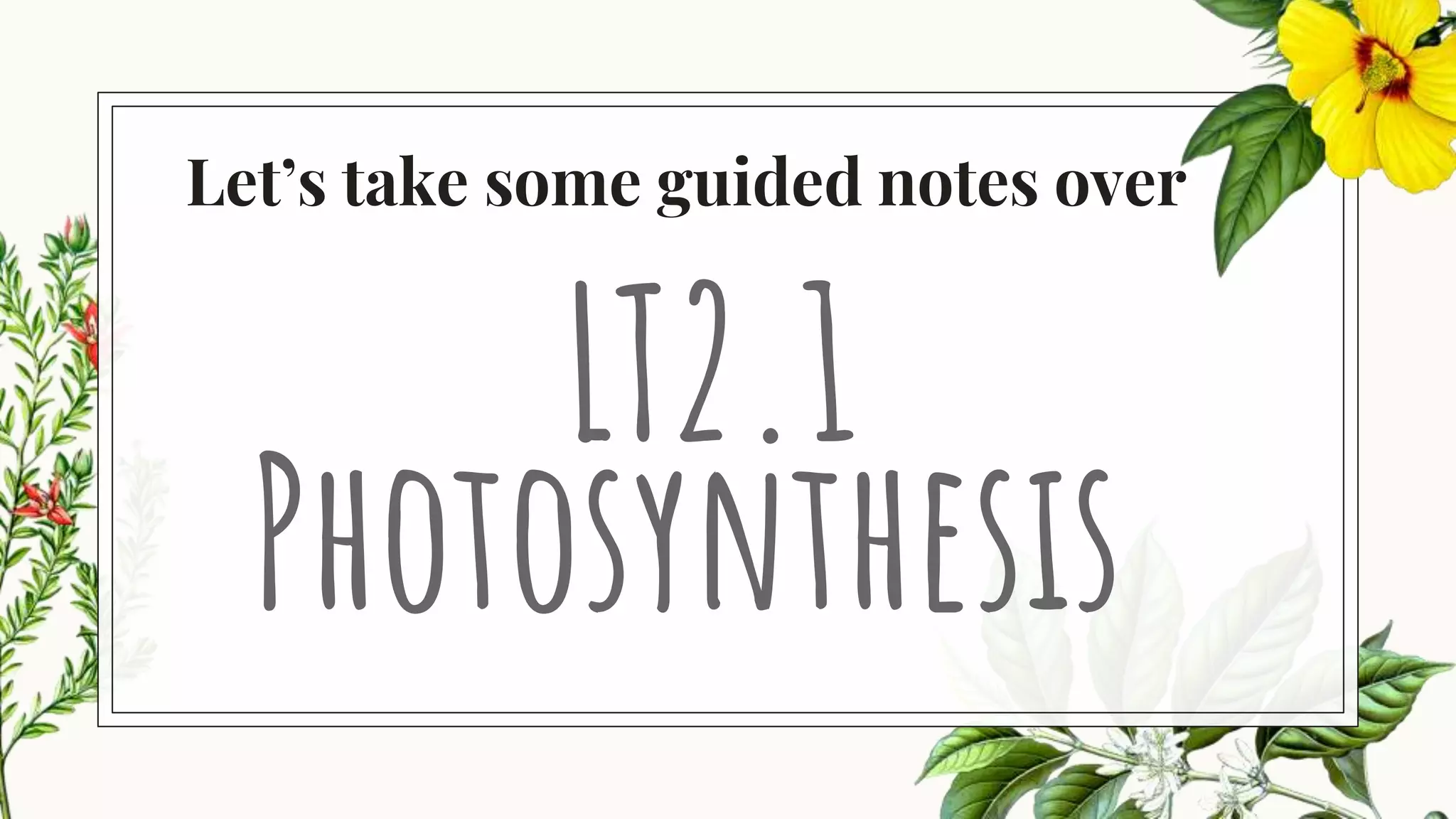 LT2.1 Photosynthesis PowerPoint Notes | PPT