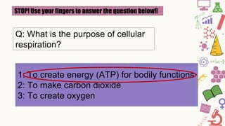 LT2.2 Cellular Respiration PowerPoint Notes | PPTX | Biological ...