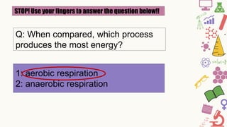 LT2.2 Cellular Respiration PowerPoint Notes | PPTX | Biological ...